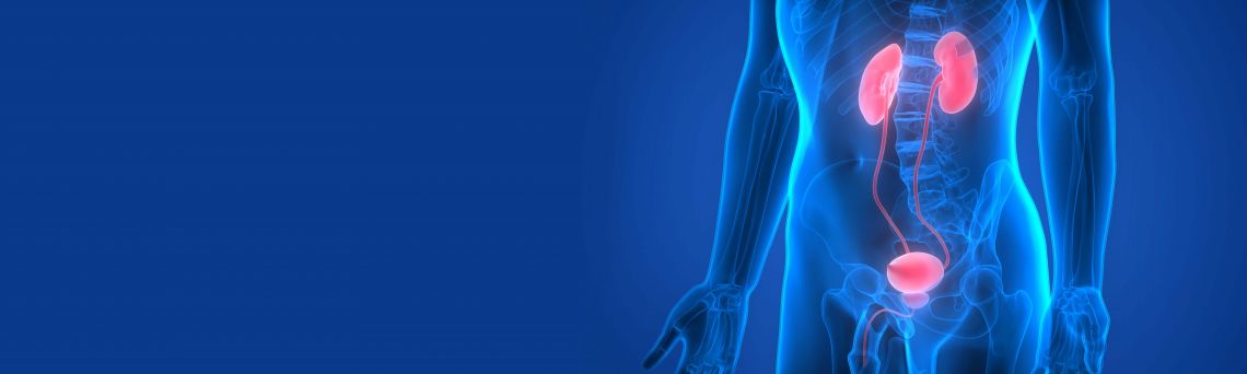 Harnblasenersatz-OP | Roboter-assistierte Chirurgie - St. Antonius ... Harnblasenersatz-OP | Roboter-assistierte Chirurgie - St. Antonius ...